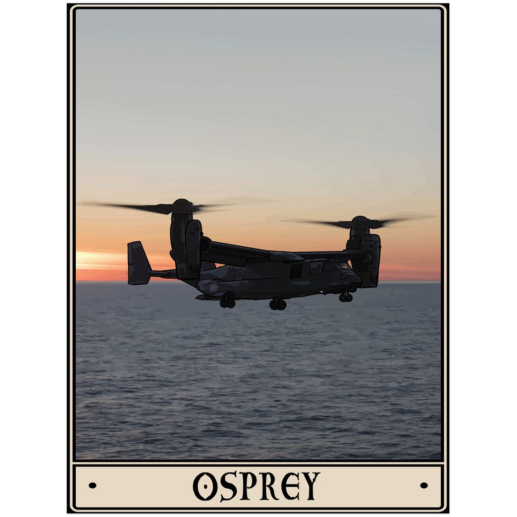 Osprey Poster – pltdaddy