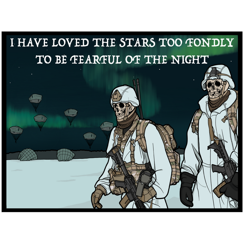 Northern Lights Poster – pltdaddy