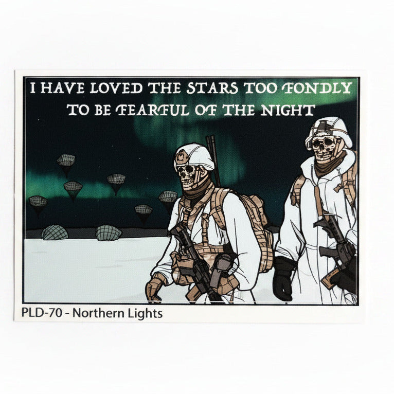 Northern Lights Sticker – pltdaddy